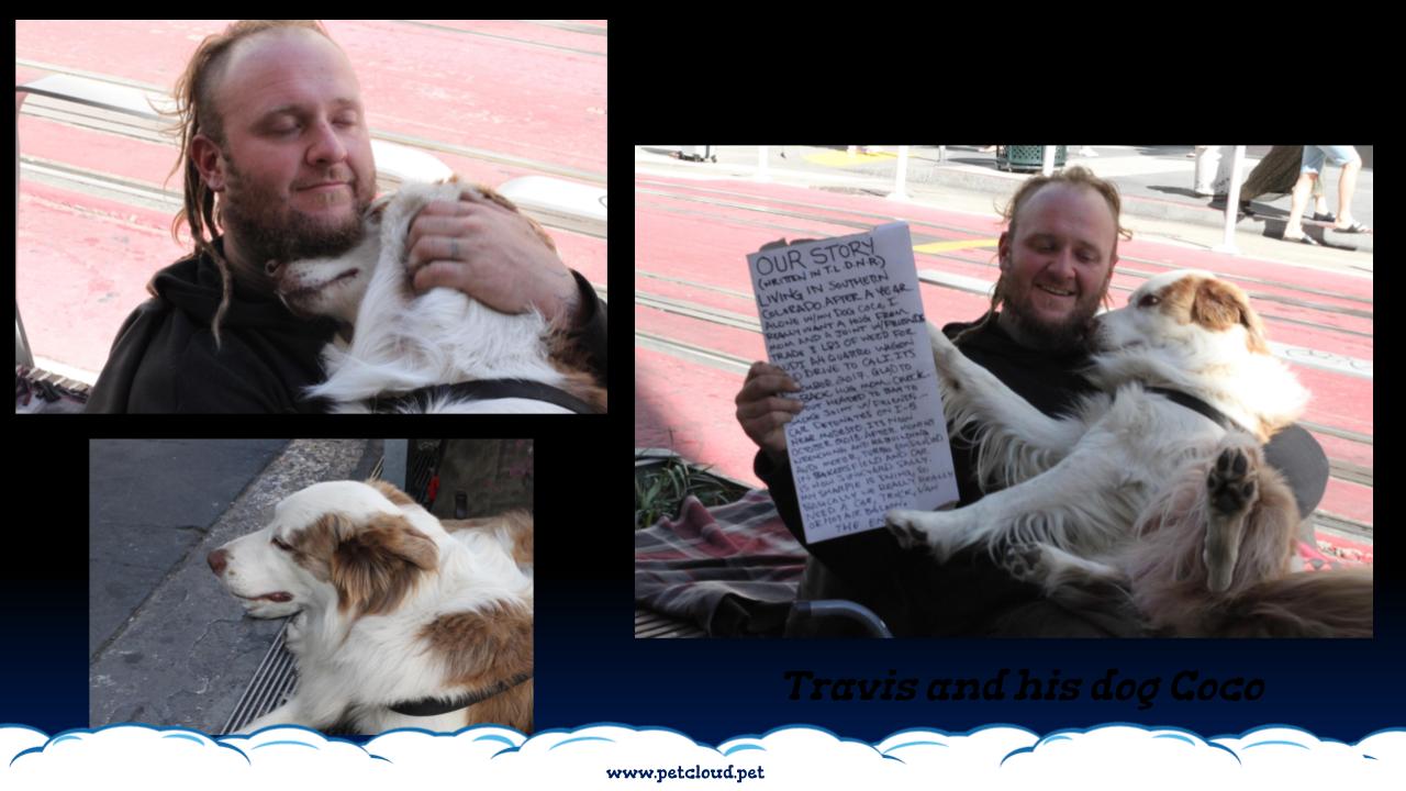 Our Homeless Pet Population – Kevin Ringstaff
