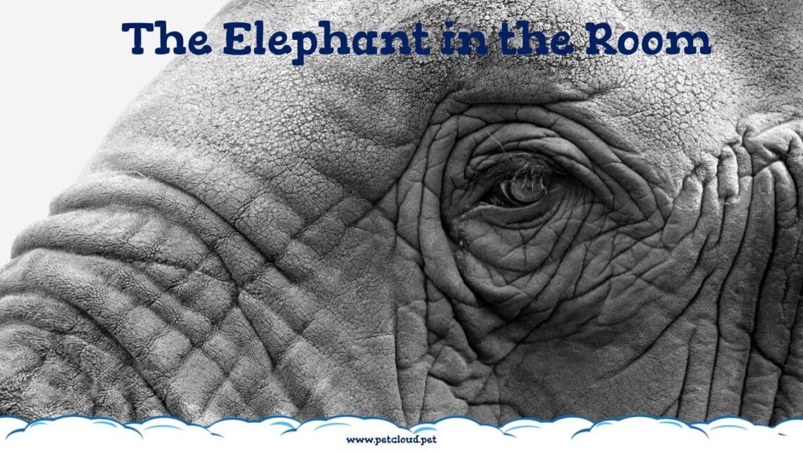 Grief in the Workplace – Kevin Ringstaff